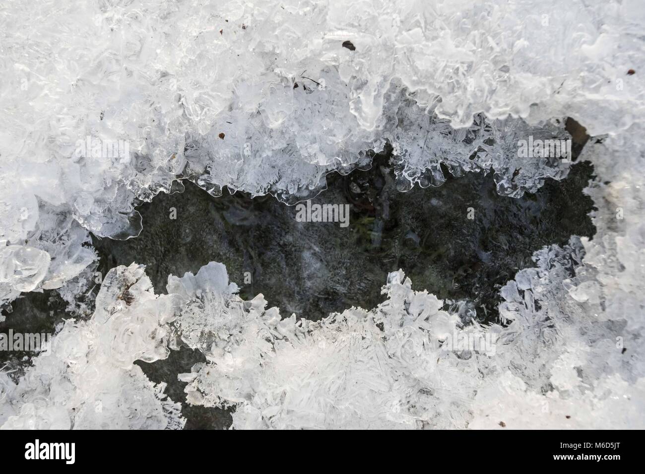 Poznan ice sculpture hi-res stock photography and images - Alamy