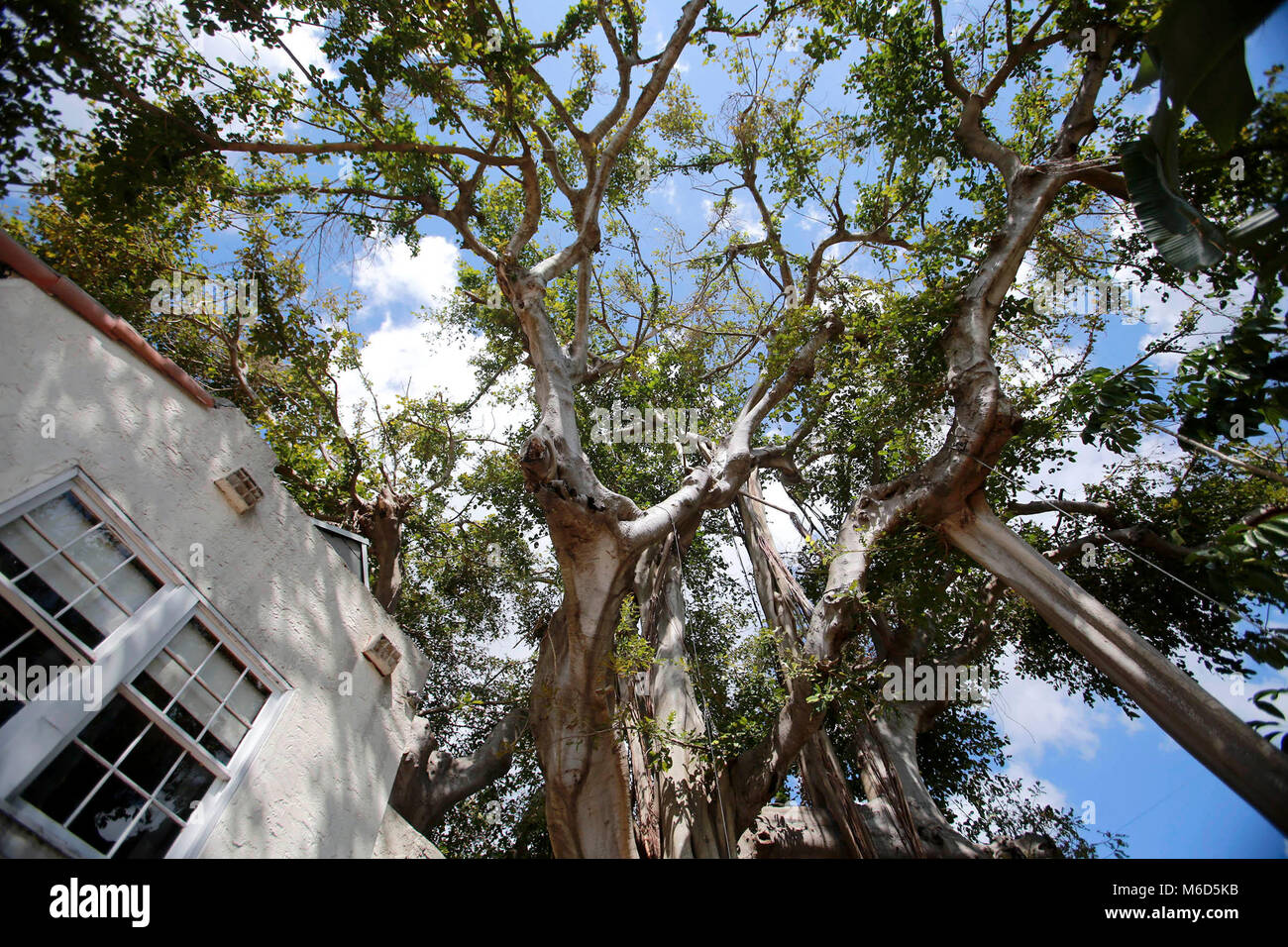 20180302 High Resolution Stock Photography and Images - Alamy