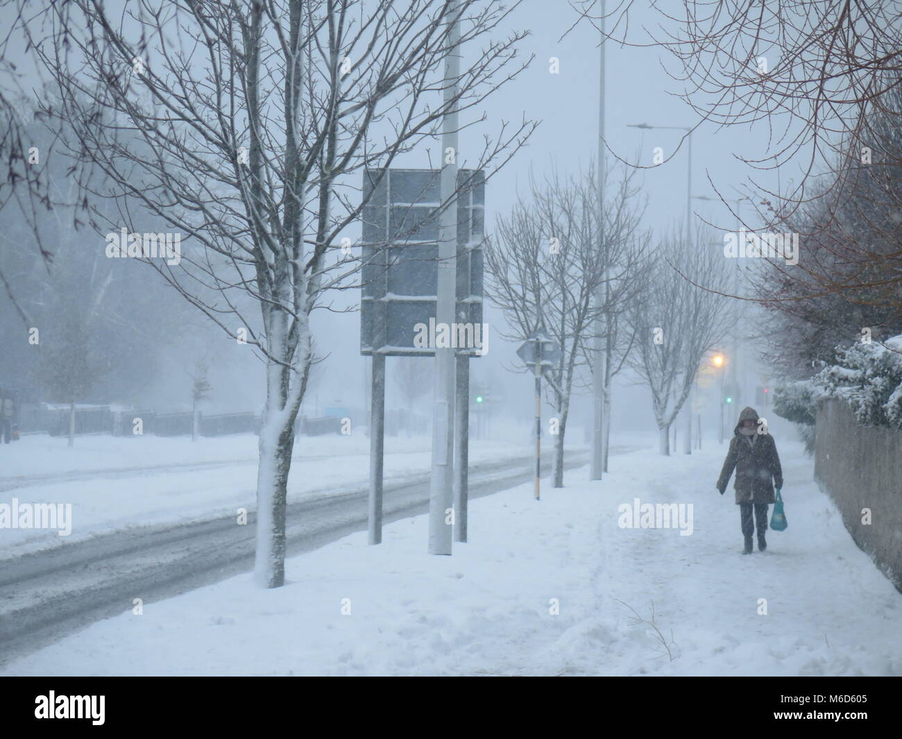 Dublin, Ireland. 2nd March, 2018. Image from Dublin, Ireland amid ...