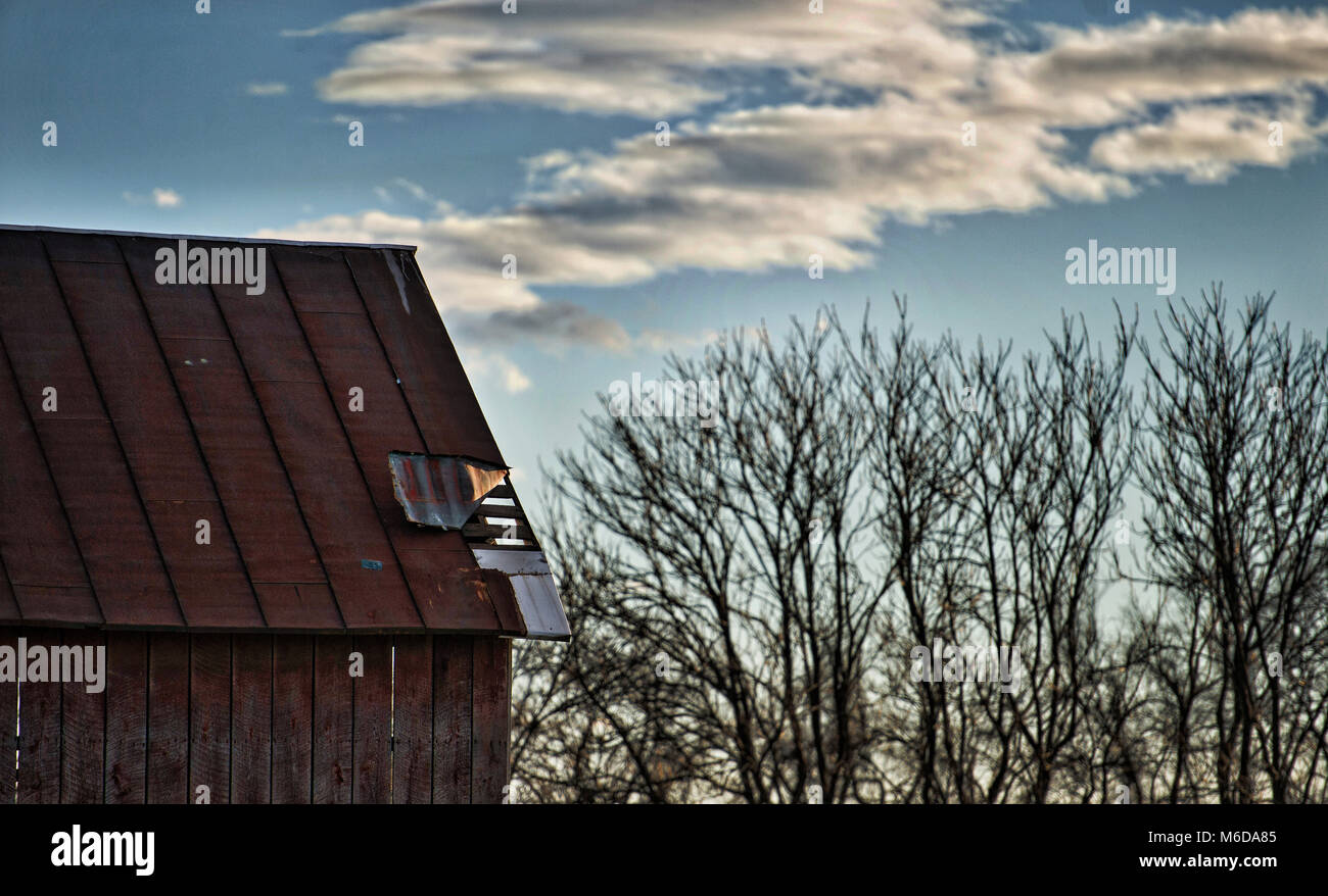 UNITED STATES: March 02, 2018: Trees and power lines are down all ...