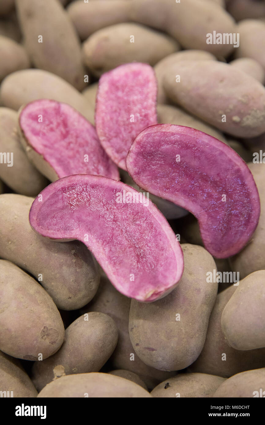 Rote emmalie hi-res stock photography and images - Alamy