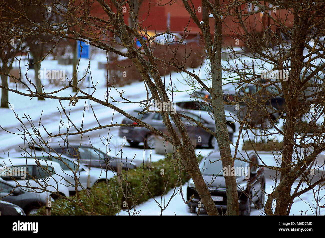 Copenhagen / Denmark,03.March 2018 Snow falls in danish capital ...