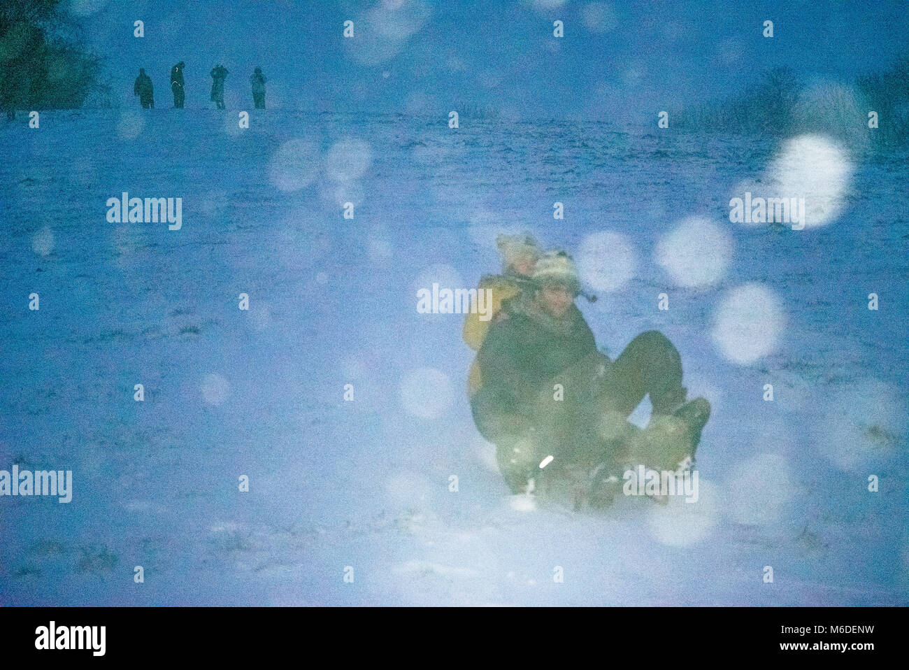Sledge sliding during heavy snow in Frome, Somerset Stock Photo - Alamy