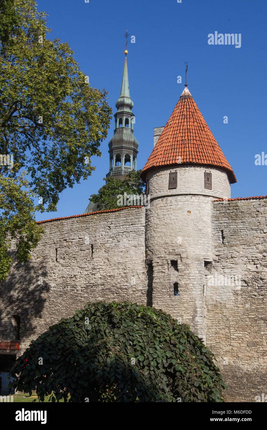 Old Town Tallinn, Medieval capital city of Estonia Stock Photo - Alamy