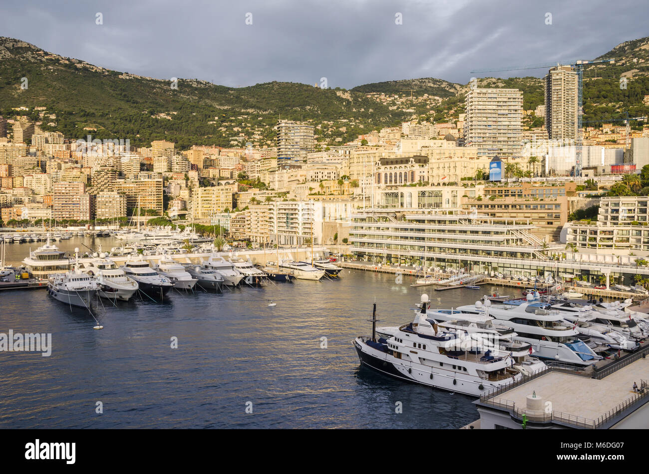 Monte ward hi-res stock photography and images - Alamy