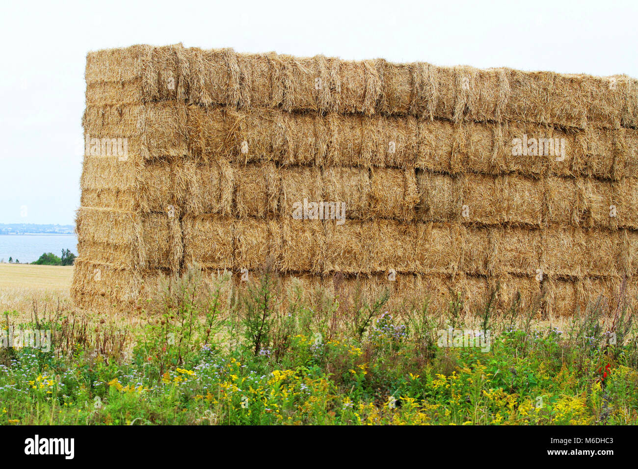 Square bales of hay form a wall Stock Photo - Alamy