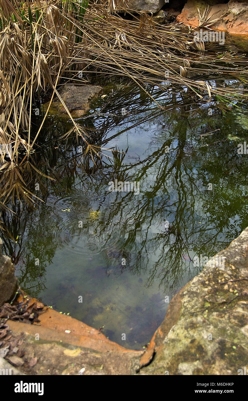 Water pond in the fall with big boulders Stock Photo - Alamy