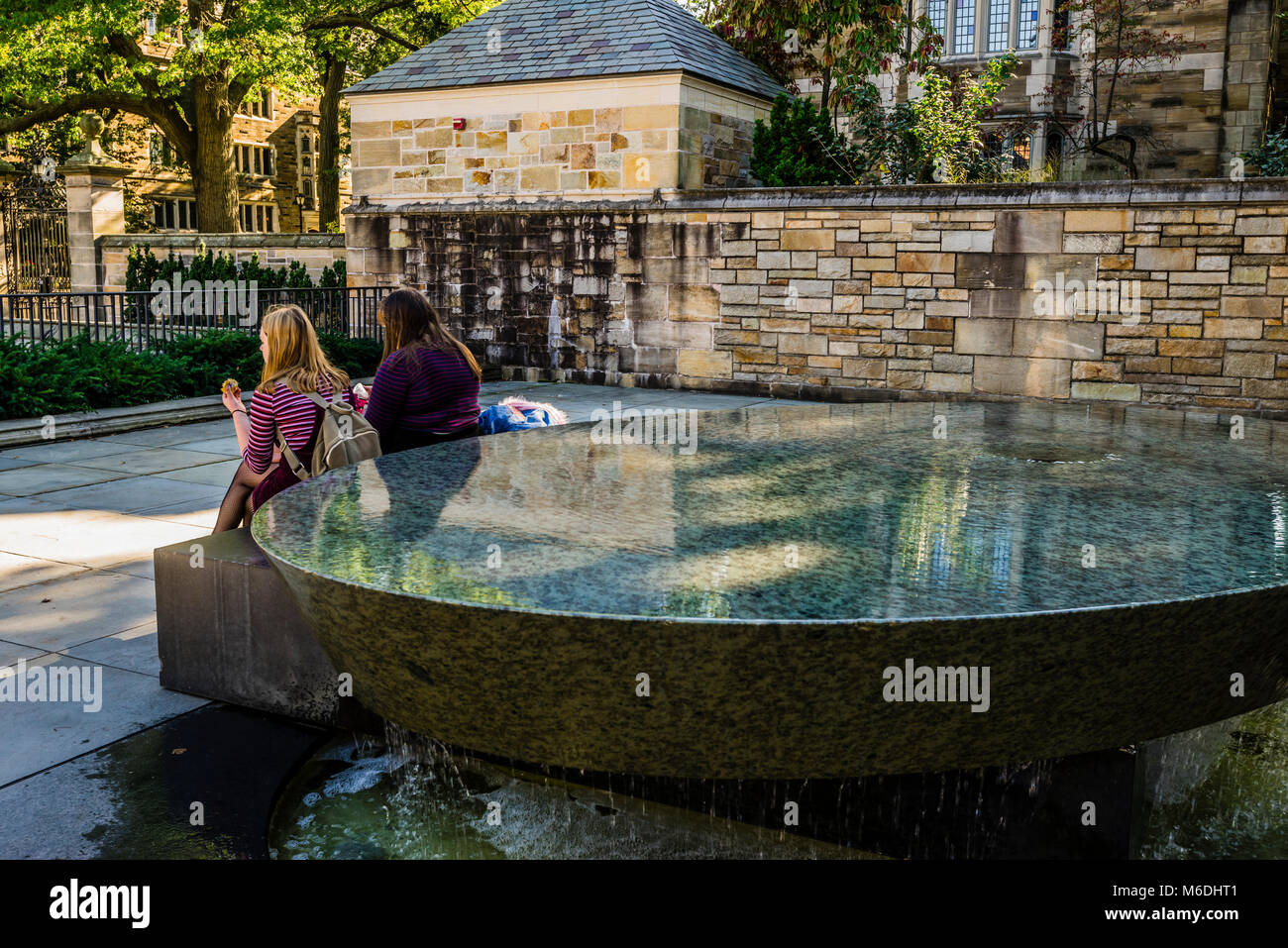 Women’s Table Yale University New Haven, Connecticut, USA Stock Photo ...