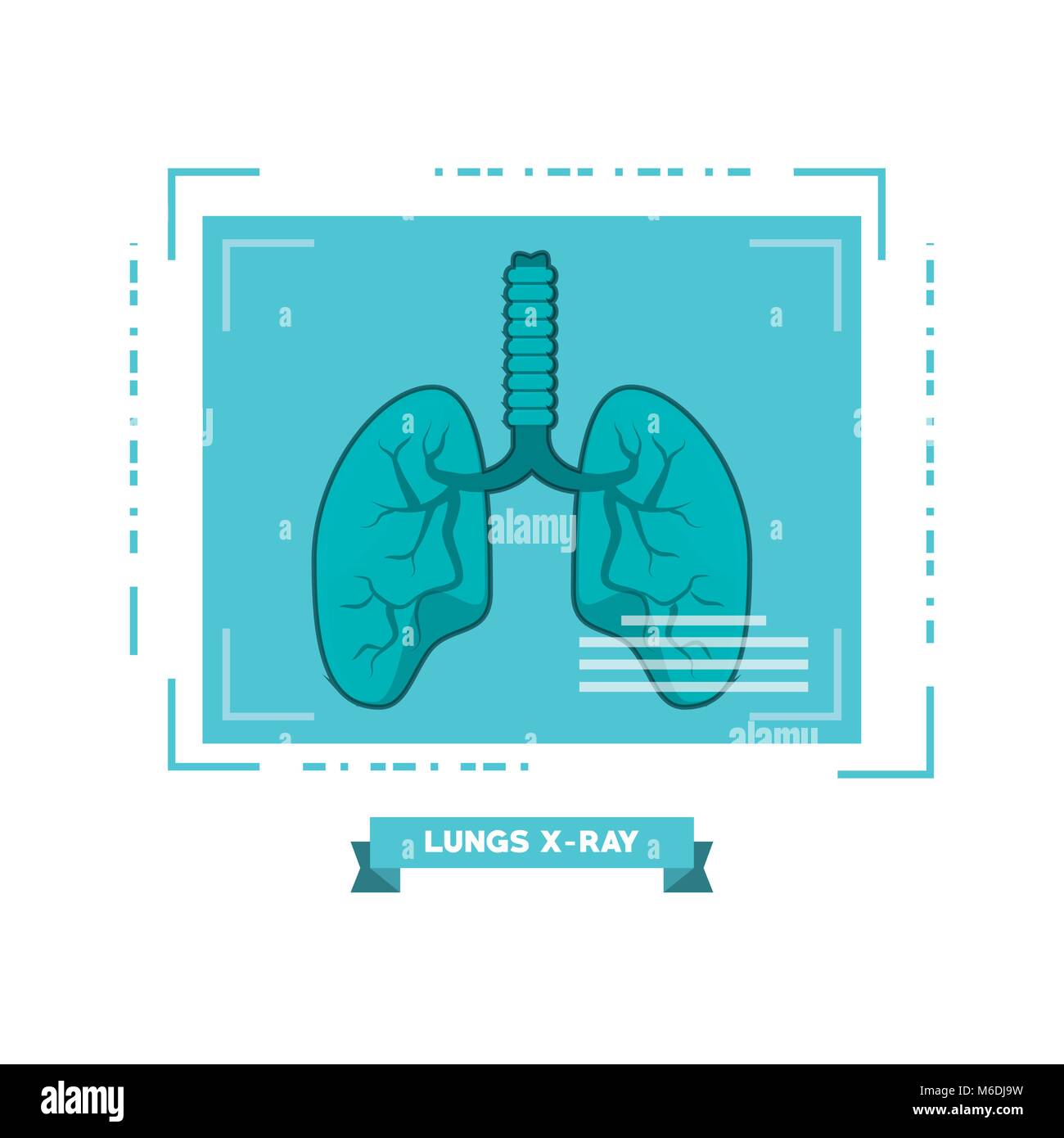 Lungs X Ray Icon Over White Background Colorful Design Vector