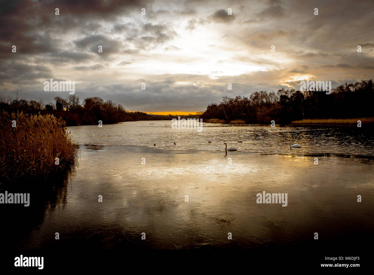 Fairburn ings nature reserve rspb hi-res stock photography and images ...