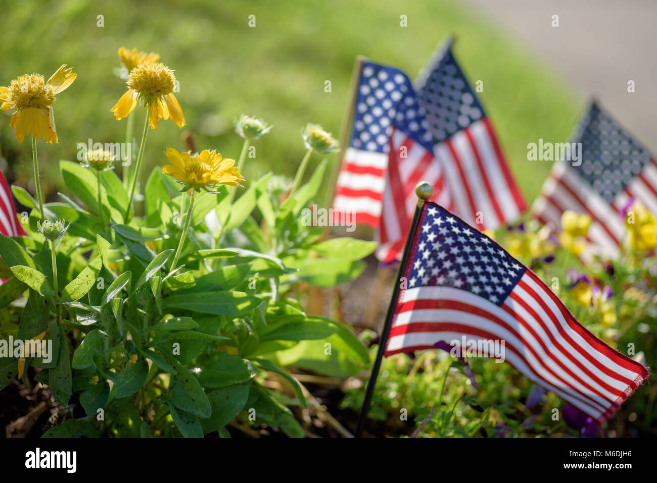 Colorful little flags hi-res stock photography and images - Alamy