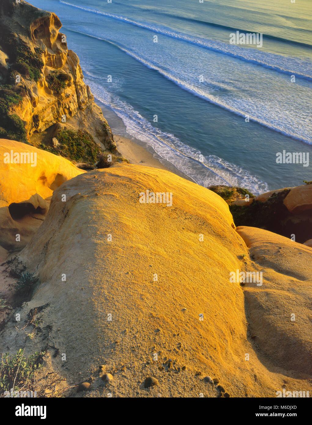 Torrey Pines State Park Stock Photos & Torrey Pines State Park Stock ...