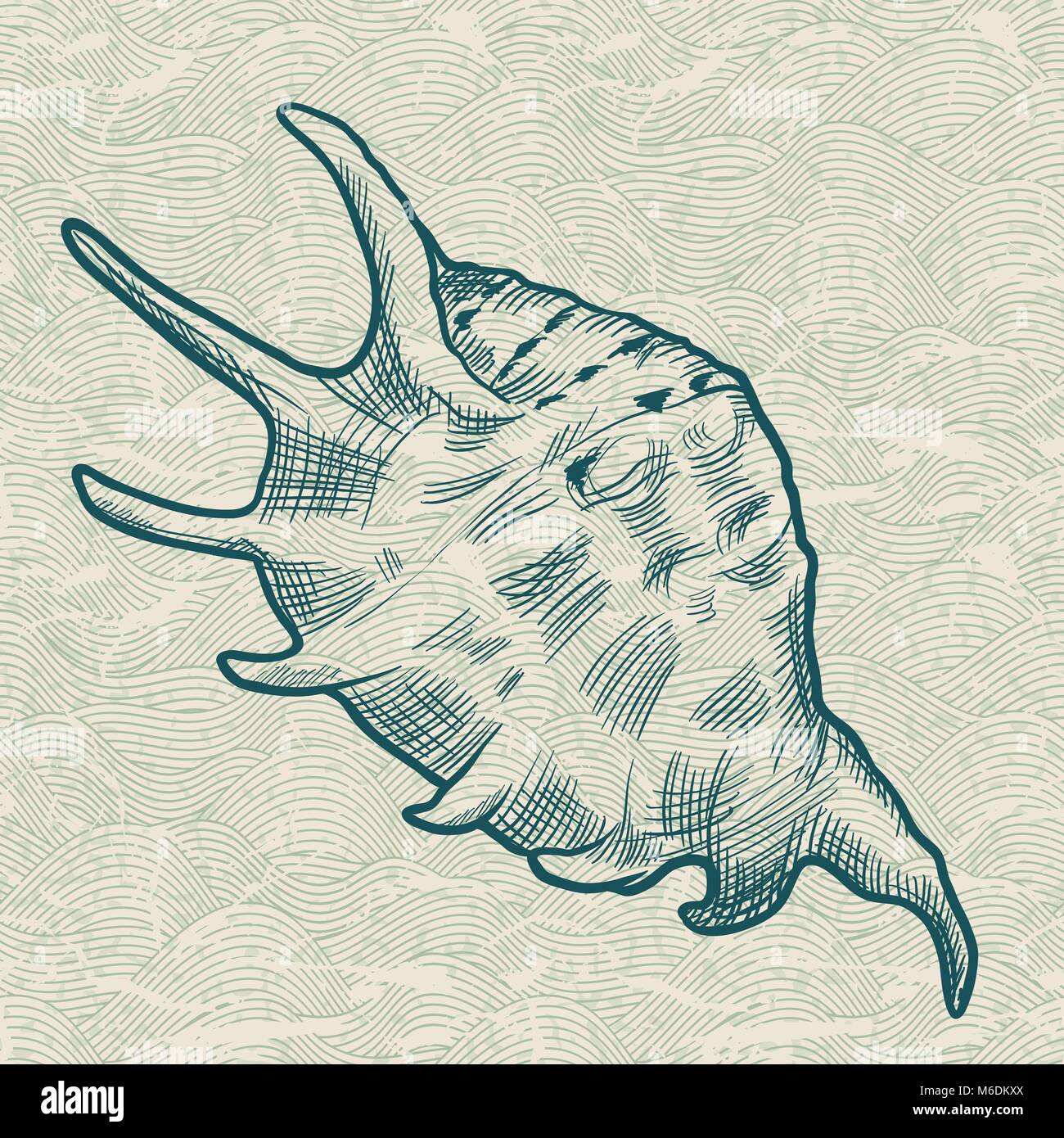 Sea shell. Original hand drawn illustration Stock Vector Image & Art ...