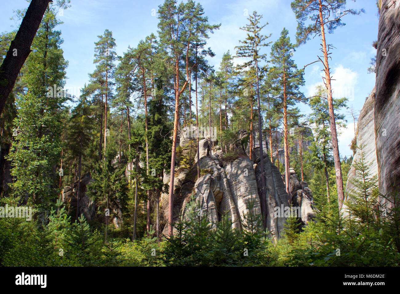 Sky, tree and rock. In the background is the rock and trees Stock Photo ...