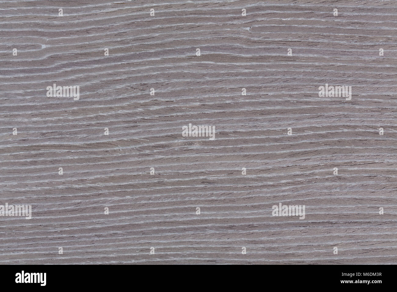 Gray walnut, natural wooden texture background. Extremely high ...
