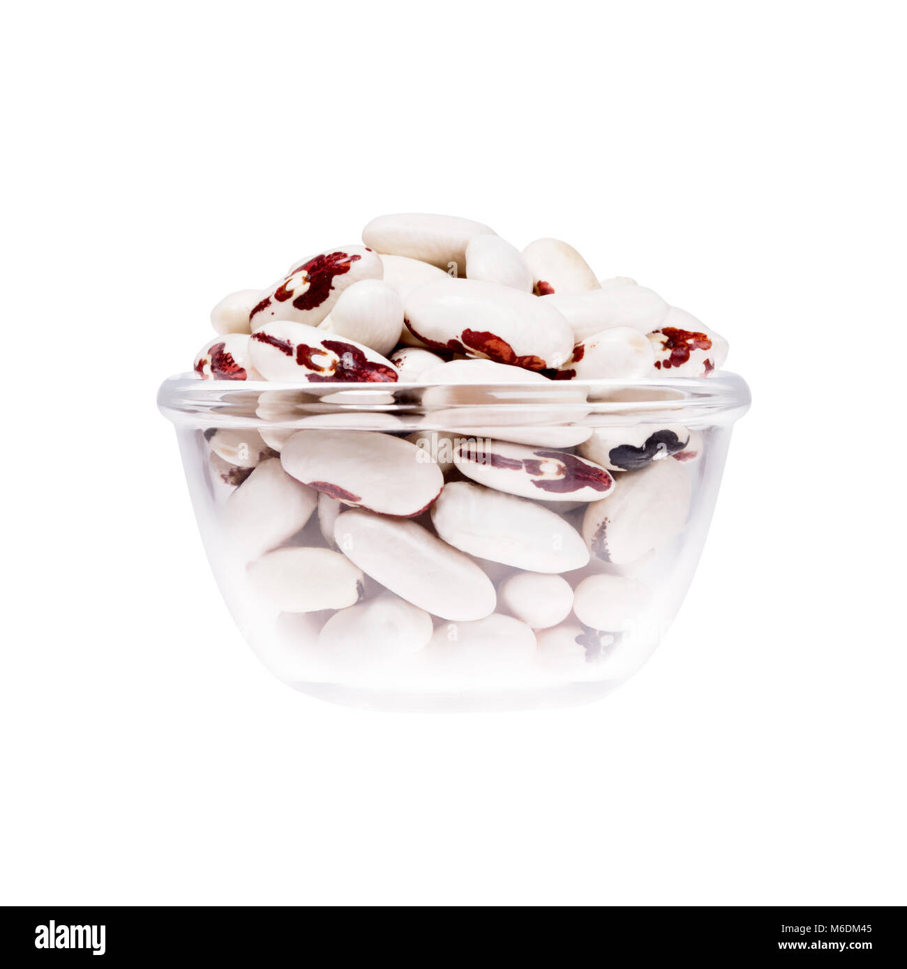 White sprouted beans in a saucer on white background. High resolution ...