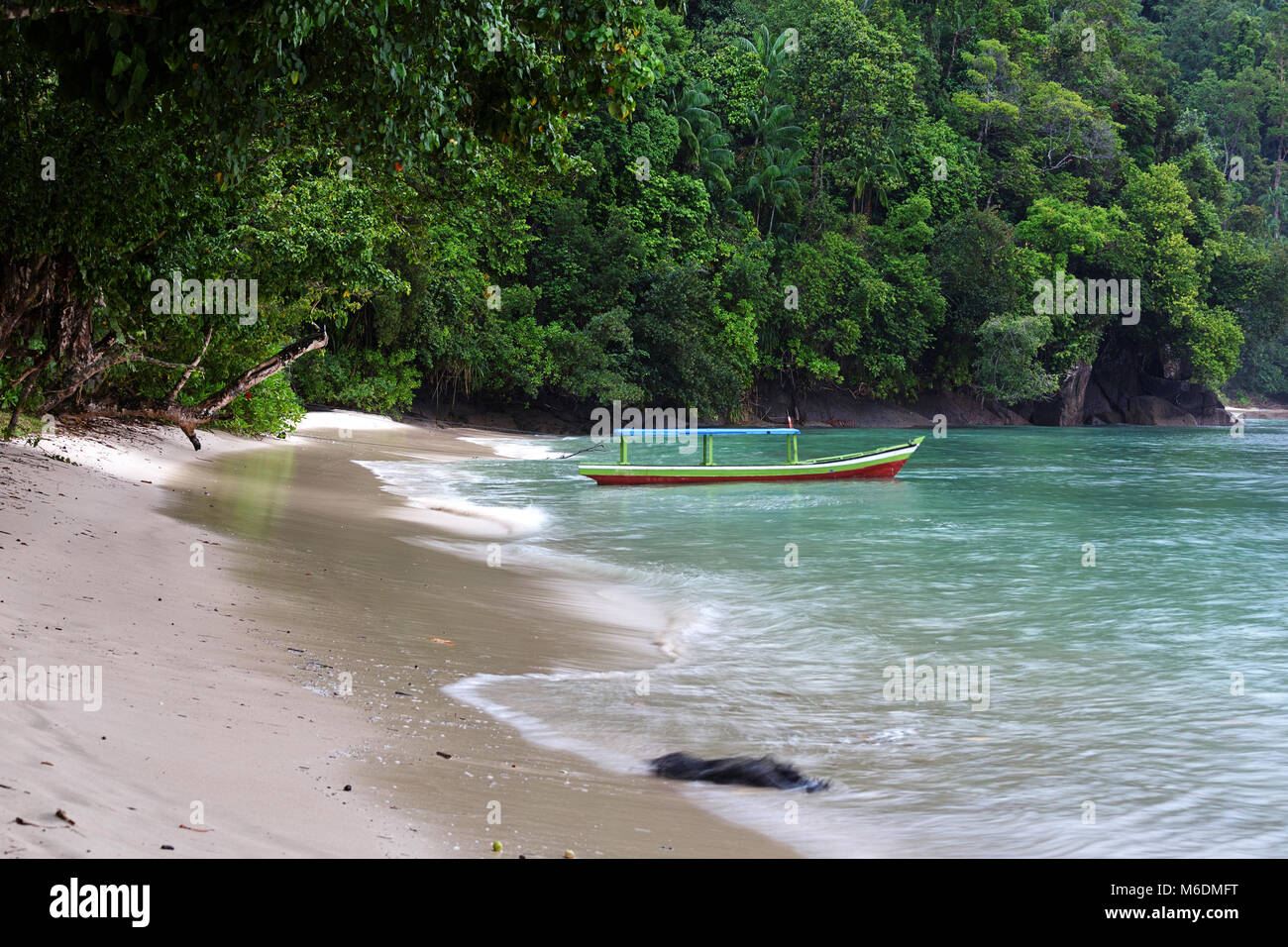 Beautiful sandy beach with rainforest reaching the shore at sunset ...