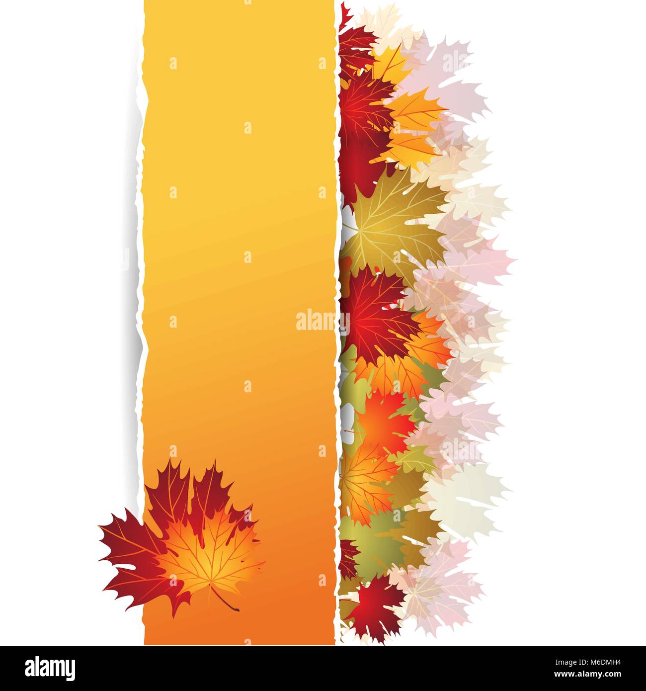Maple leaf background Stock Vector Images - Alamy