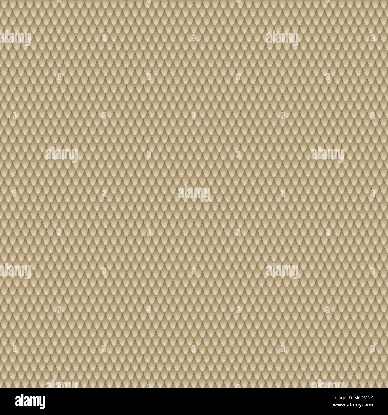 Snake skin seamless pattern vector hi-res stock photography and images ...