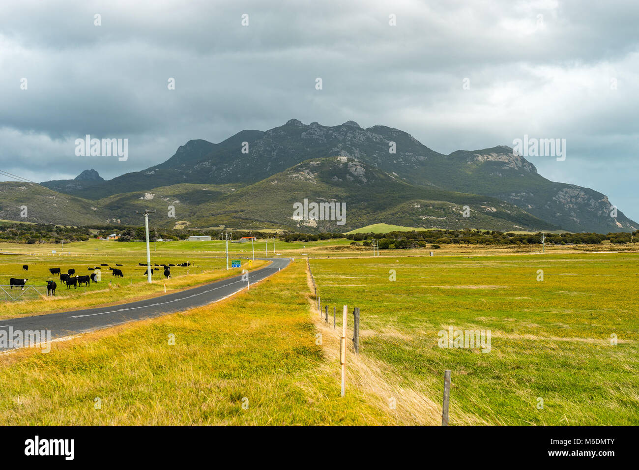 Road to Mount Strzelecki on Flinders Island, Tasmania Stock Photo - Alamy