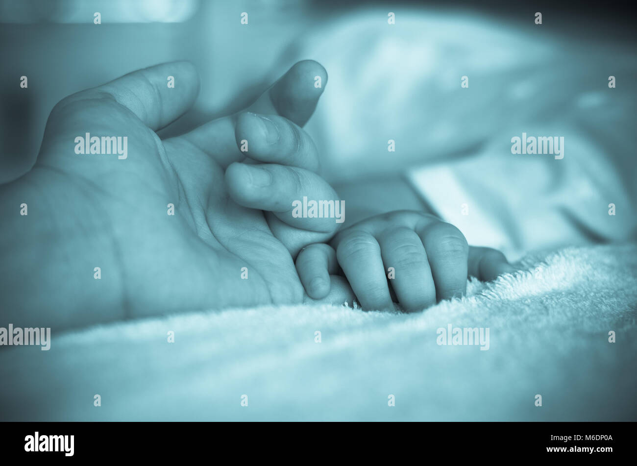 Asian baby hand on the adult hand Stock Photo - Alamy