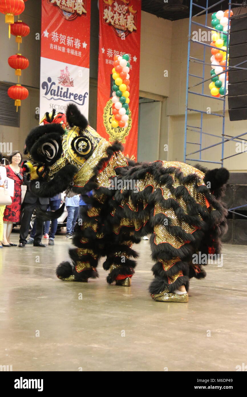 Chinese lion during performance Stock Photo - Alamy