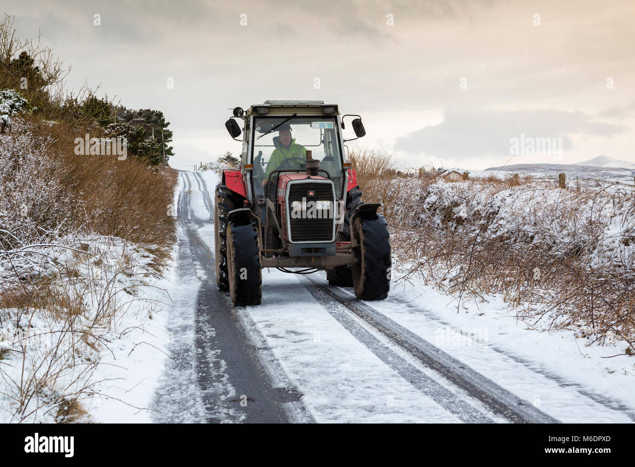 Irish farmer in Massey Ferguson tractor 390T in snow on Country lane ...