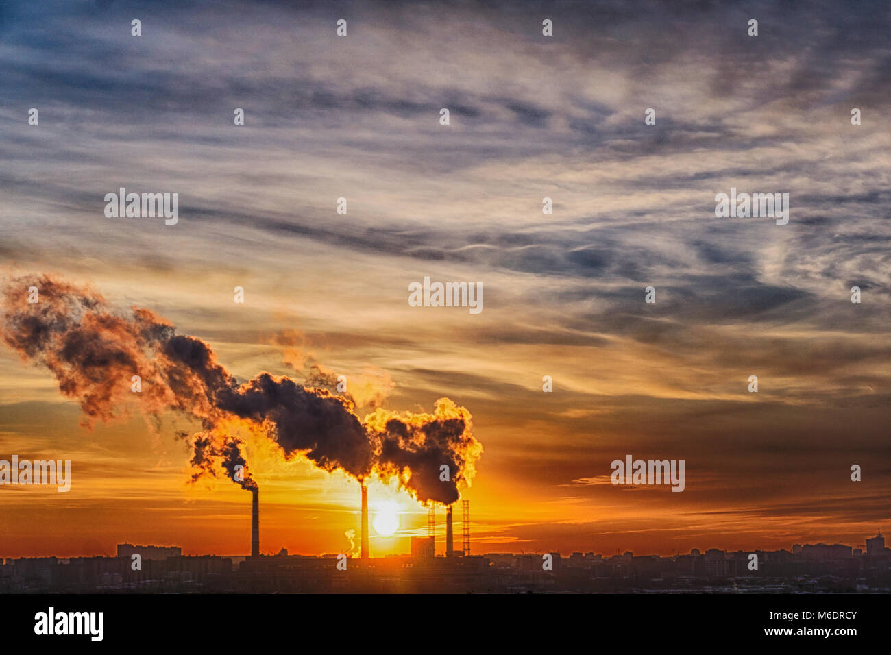 plants at sunset environmental pollution is the release of waste Stock ...