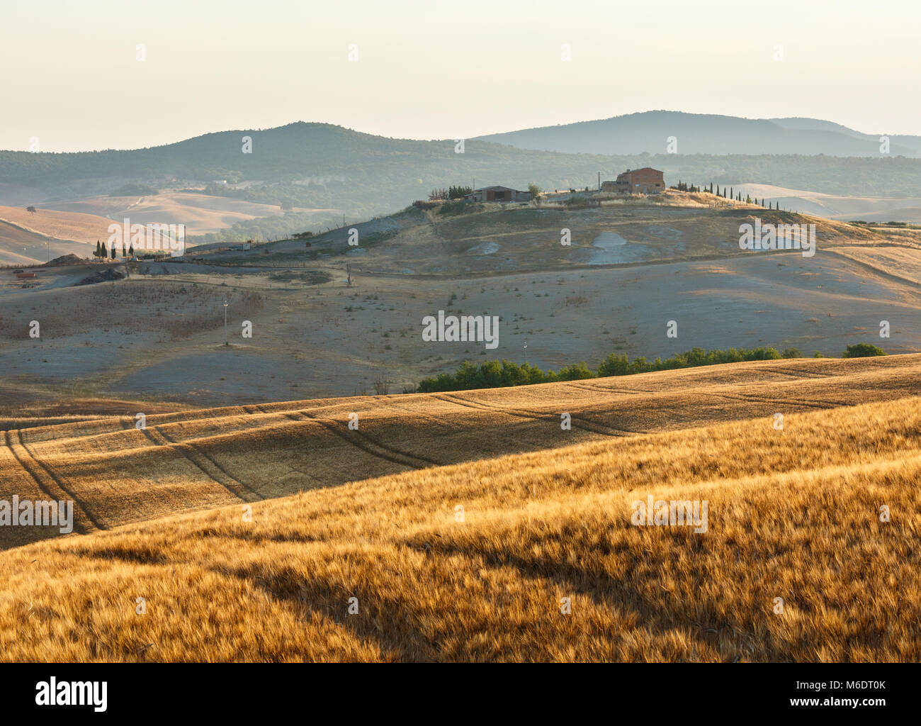 Beautiful landscape of Tuscany summer morning sunrise countryside in ...