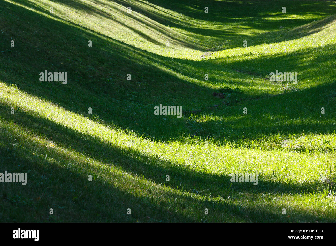 Perfect green grass lawn on landscape designed summer park hollow ...