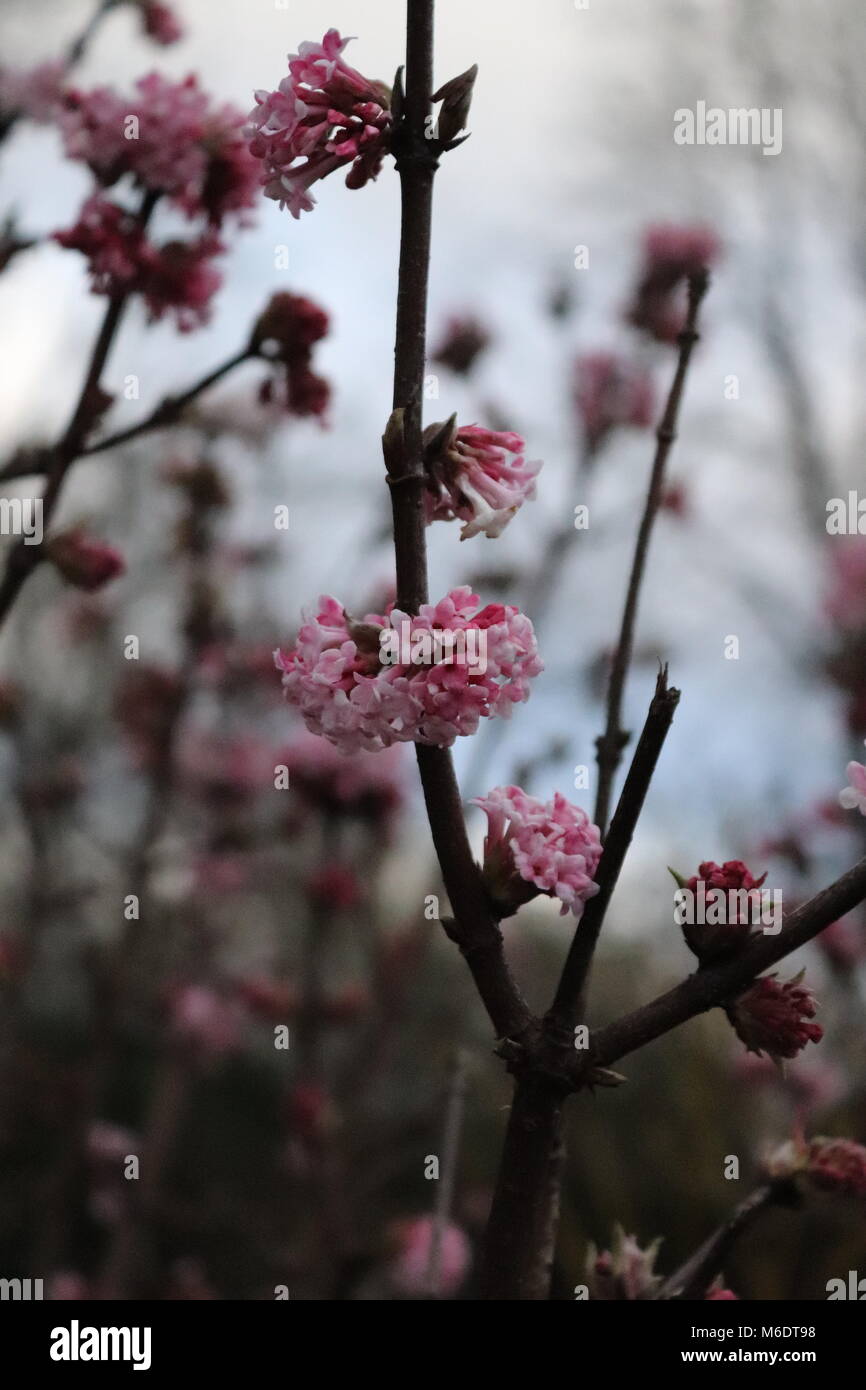 Little red white blue hi-res stock photography and images - Alamy