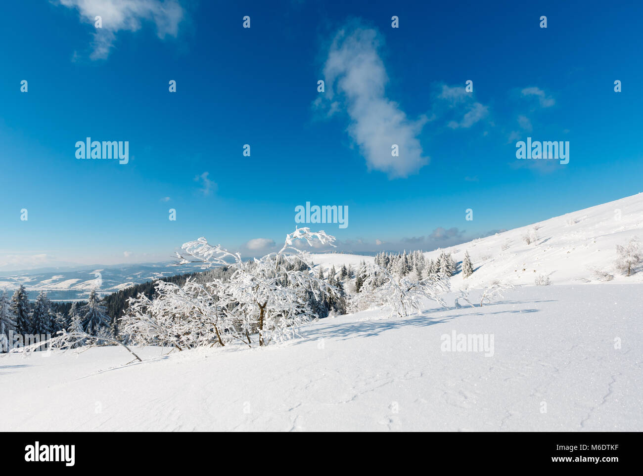 Winter calm mountain landscape with beautiful frosting trees and ...