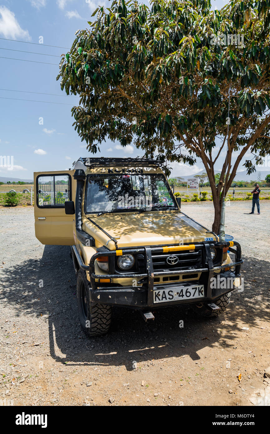 Open vehicle safari hi-res stock photography and images - Alamy