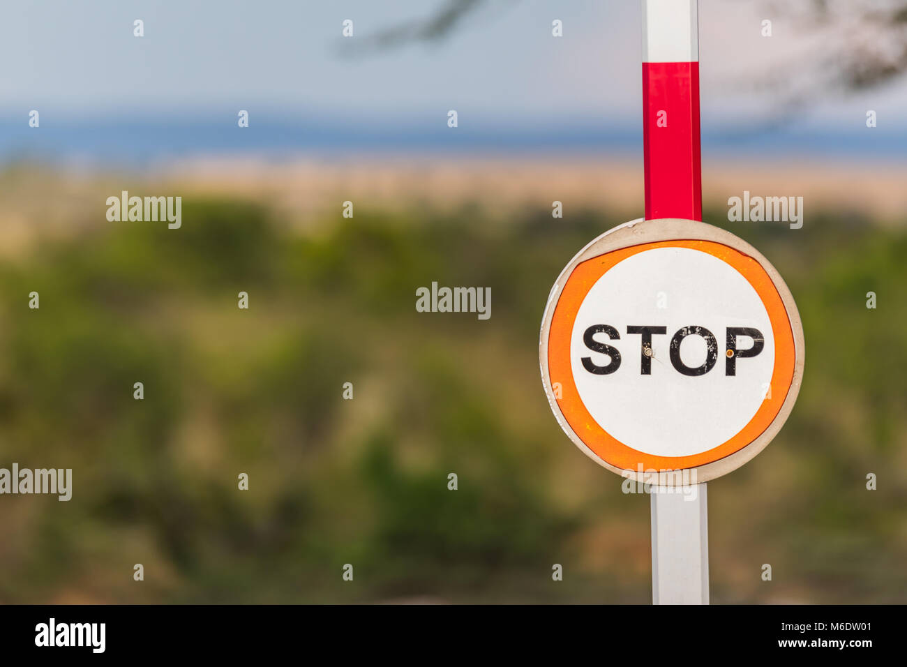 Red stop traffic road sign on brake. Vertical text. green nature in the ...