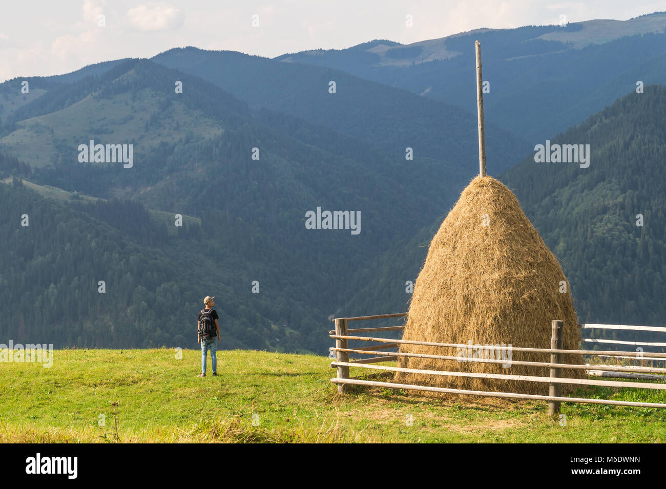 Sight of beautiful west ukrainian mountain area in summer at sunset ...