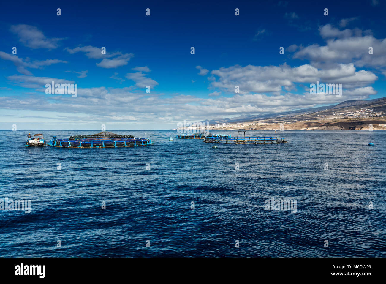 Offshore fish hi-res stock photography and images - Alamy