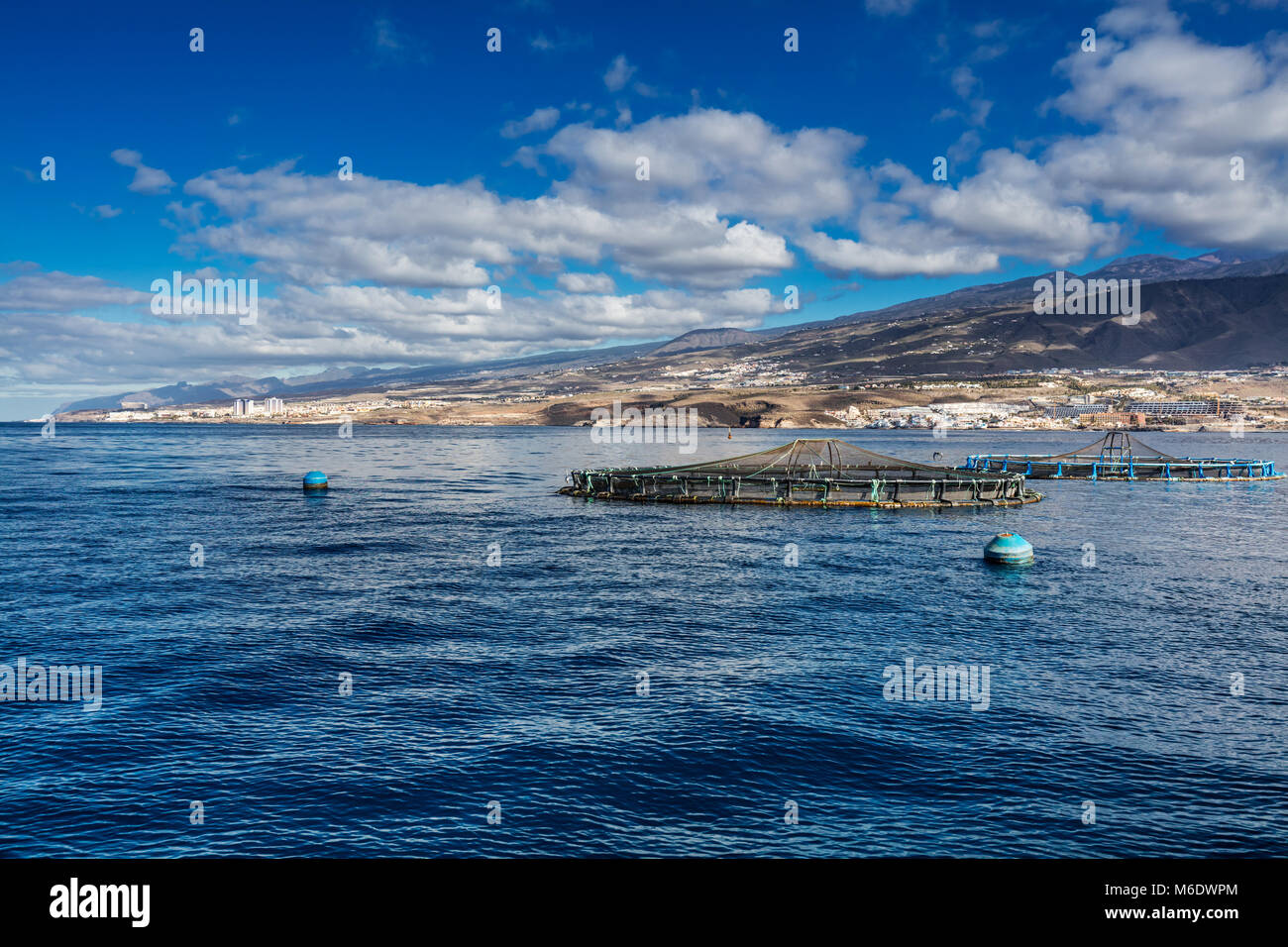Tuna ocean farms hi-res stock photography and images - Alamy