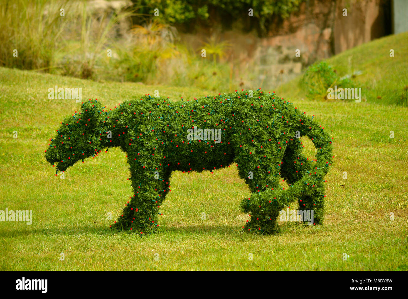 Animal topiary hi-res stock photography and images - Alamy