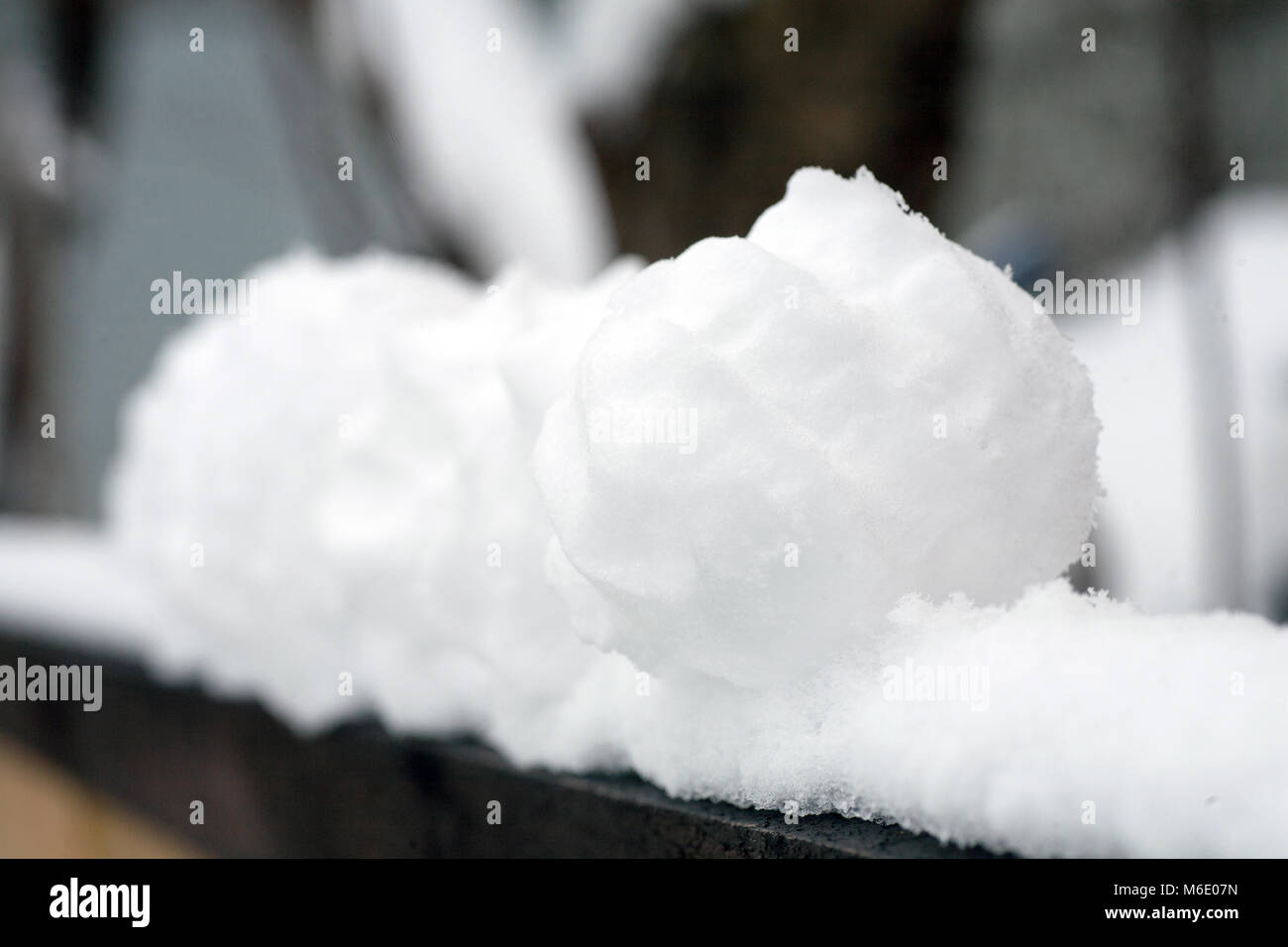 real snowballs with their hands clasped from the fresh snow in winter ...