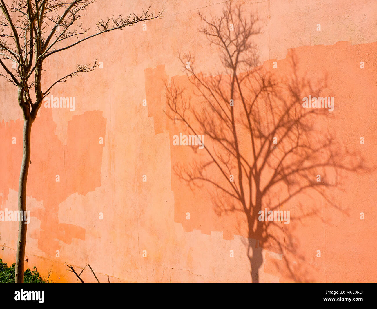 Terracotta wall art hi-res stock photography and images - Alamy