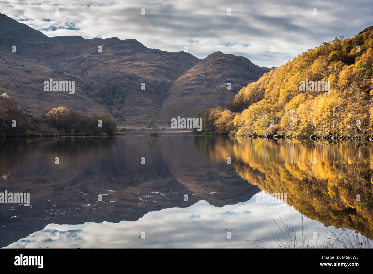 Golden Fall Scenery in Scotland Stock Photo - Alamy