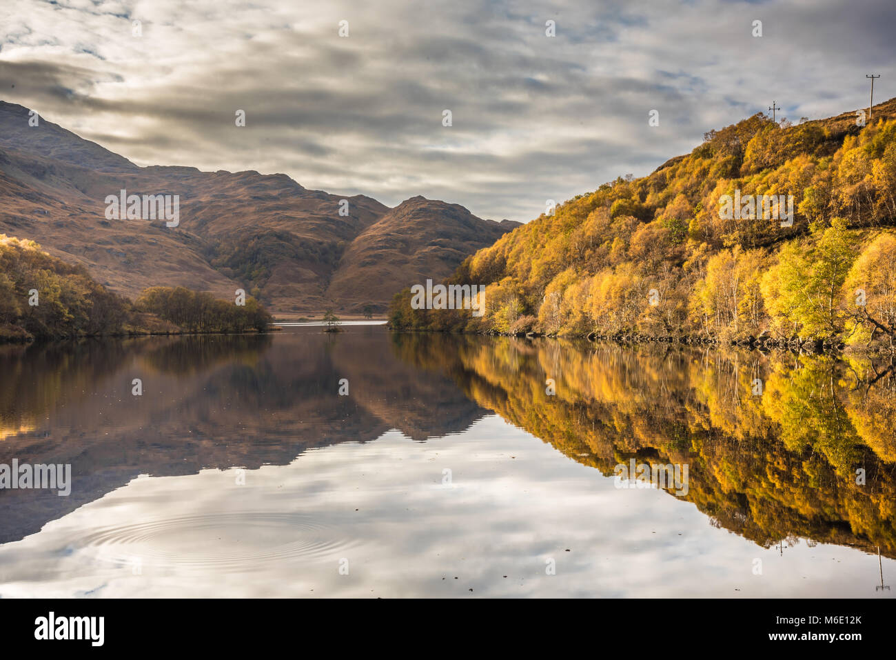 Golden Fall Scenery in Scotland Stock Photo - Alamy