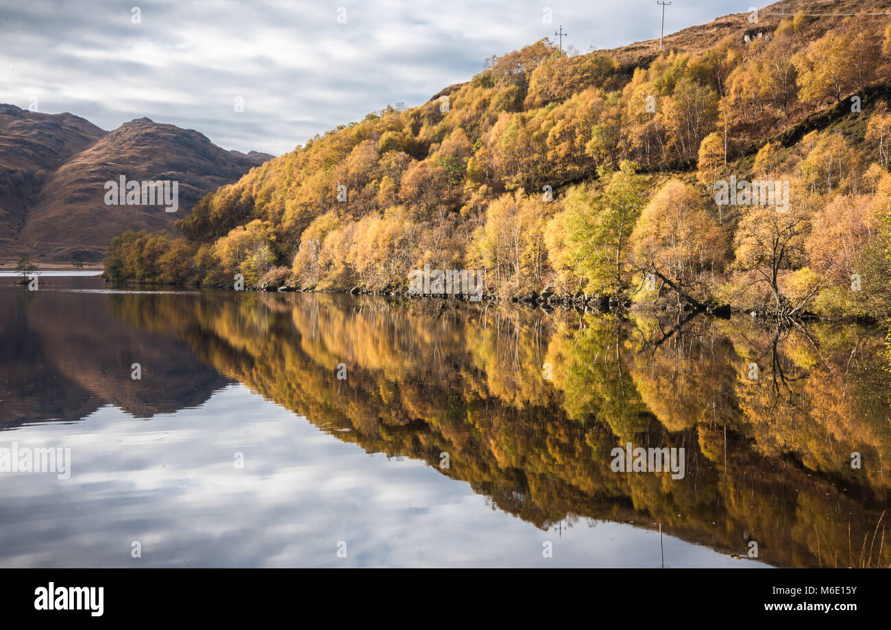 Golden Fall Scenery in Scotland Stock Photo - Alamy