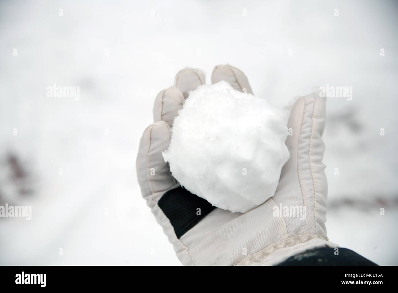 real snowballs with their hands clasped from the fresh snow in winter ...