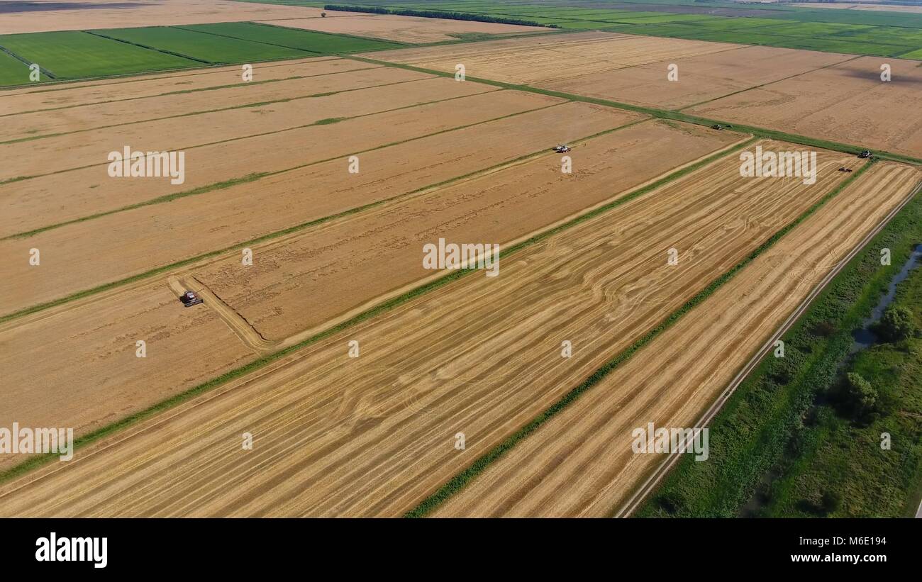 Harvesting barley harvesters. Fields of wheat and barley, the work of ...