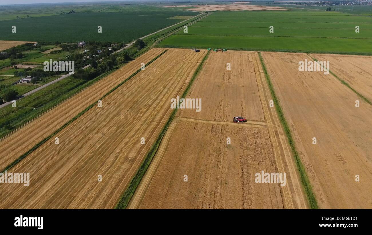 Harvesting barley harvesters. Fields of wheat and barley, the work of ...