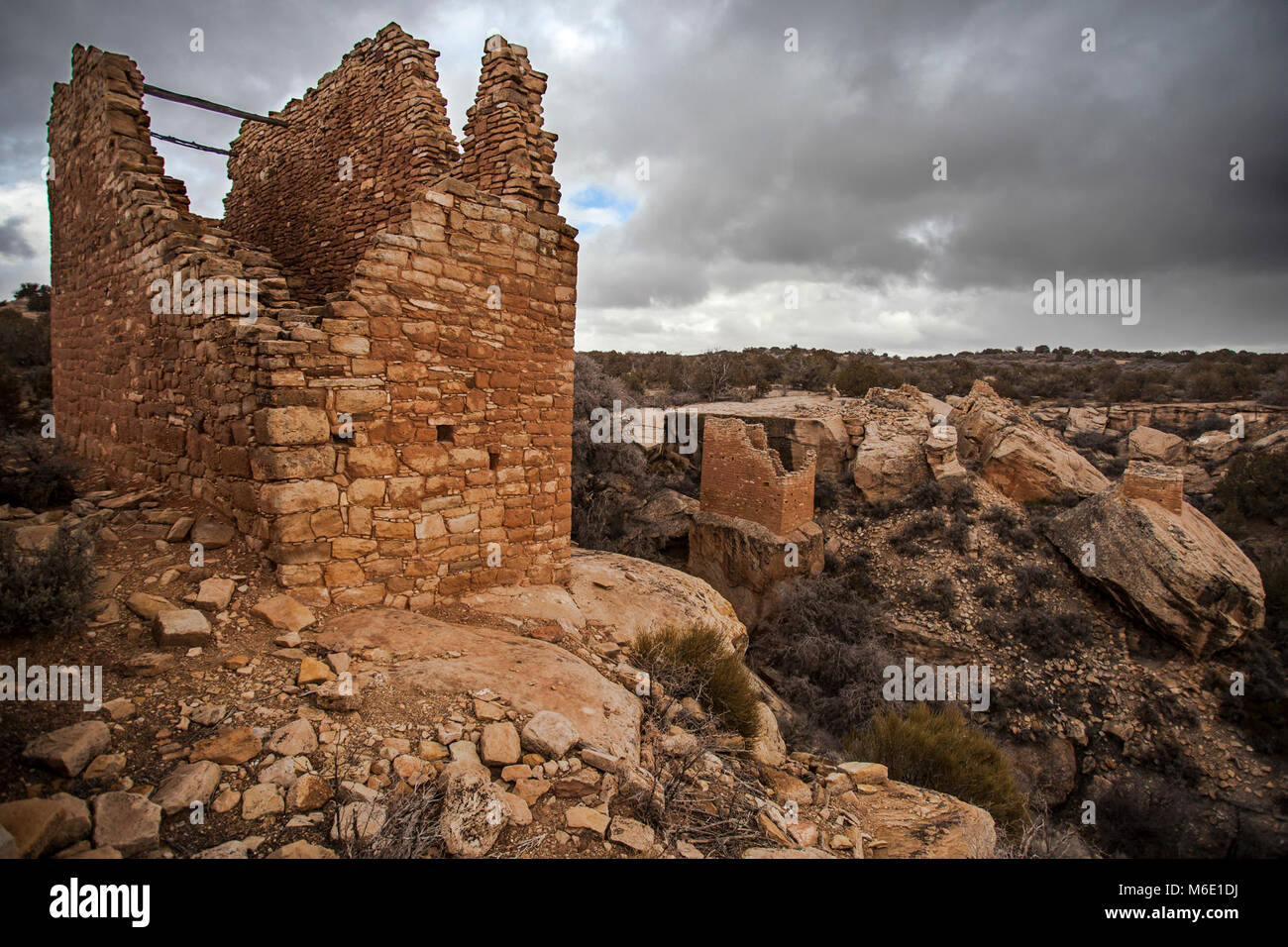 Holly unit hi-res stock photography and images - Alamy