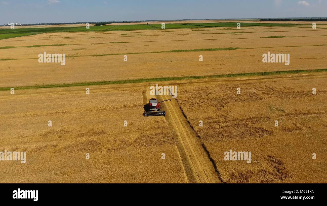 Harvesting barley harvesters. Fields of wheat and barley, the work of ...