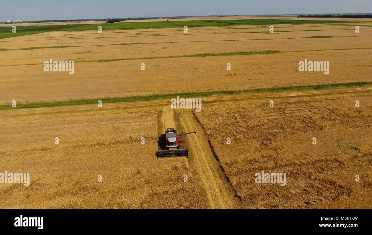 Harvesting barley harvesters. Fields of wheat and barley, the work of ...