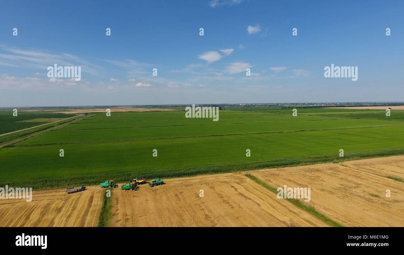 Harvesting barley harvesters. Fields of wheat and barley, the work of ...